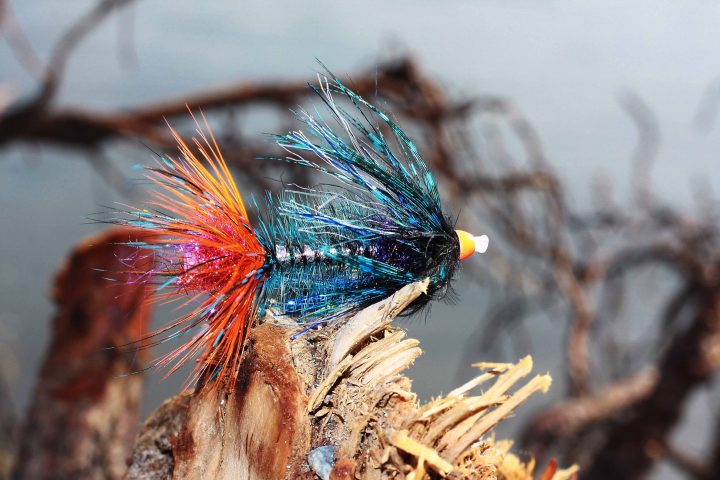 Micro Intruders – Steelheader's Journal