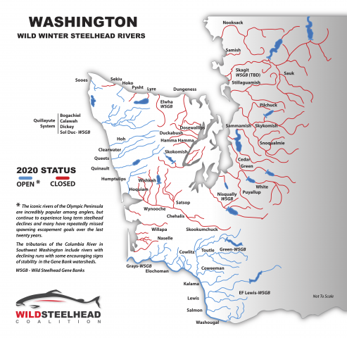 Chehalis, Puget Sound, Willapa Bay Closed in 2020. How Much Longer Do ...